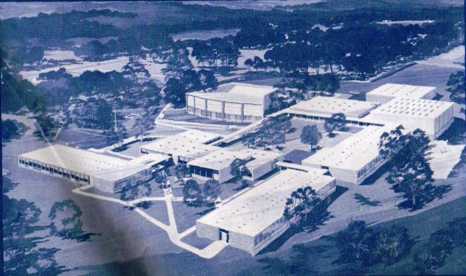 Staples High School Class Of 1964 06880