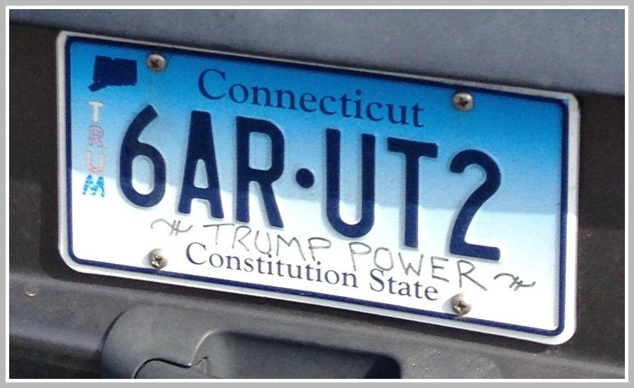 Never Before Seen In Westport | 06880