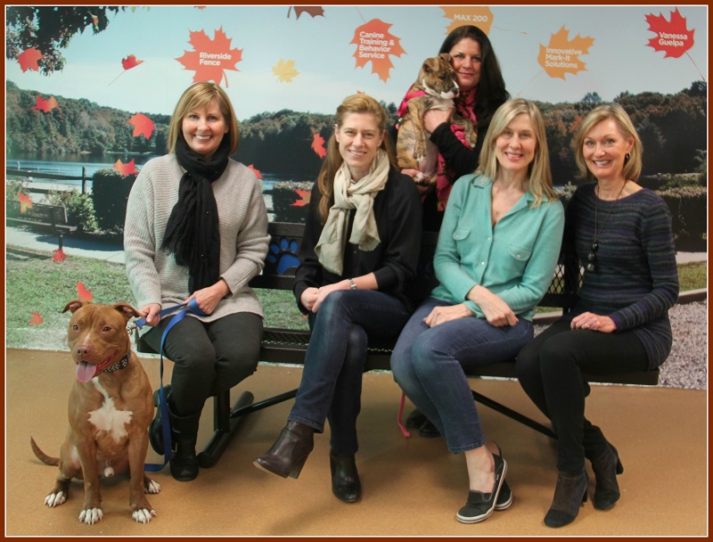 Rescue Dogs And Cheetahs, Rescue You And Me | 06880