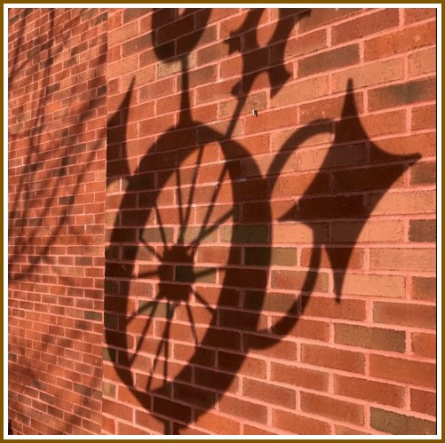 Photo Challenge #124 | 06880