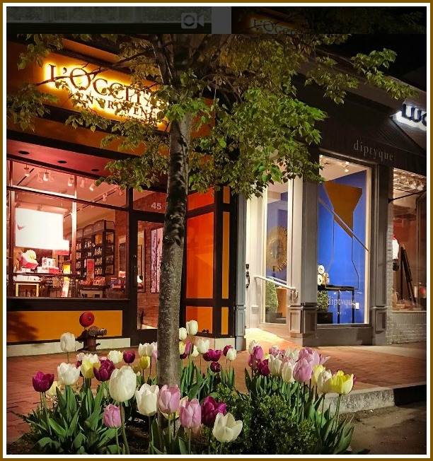 Pic Of The Day #22 | 06880