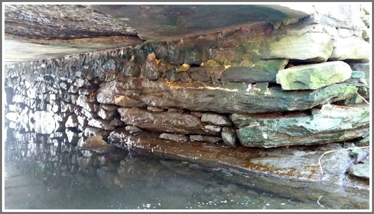 Roundup: Kings Highway Bridge, Farmers’ Market, Shark!, More | 06880