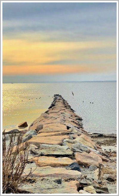 Pic Of The Day #641 | 06880