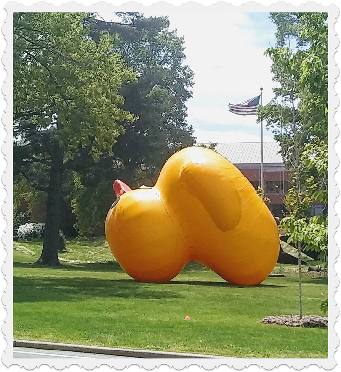 Well, It Sure Didn’t Take Long For The Duck To Face Plant Itself This ...