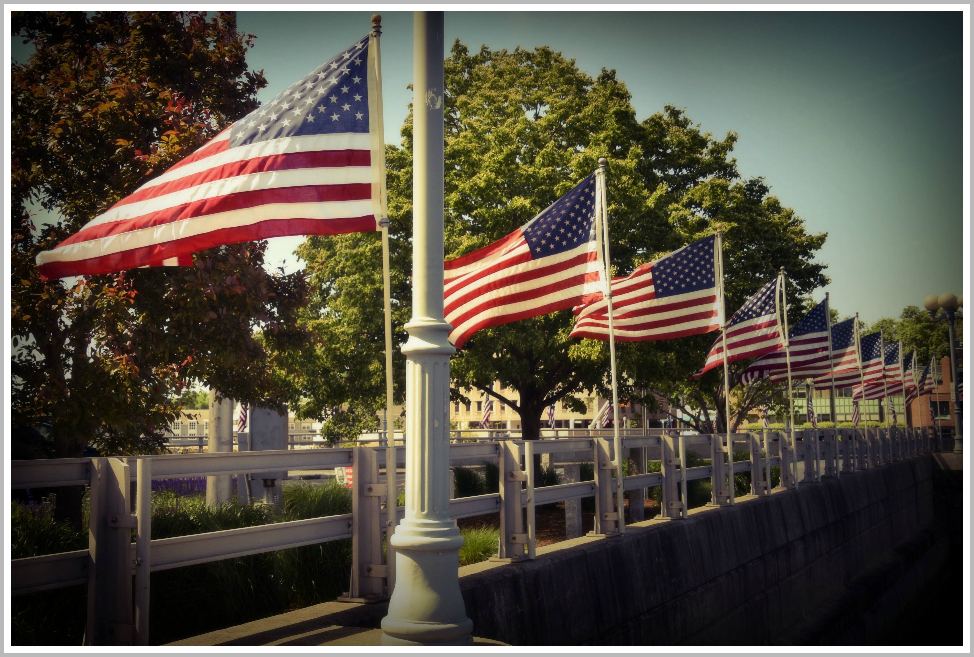 Pic Of The Day #769 | 06880