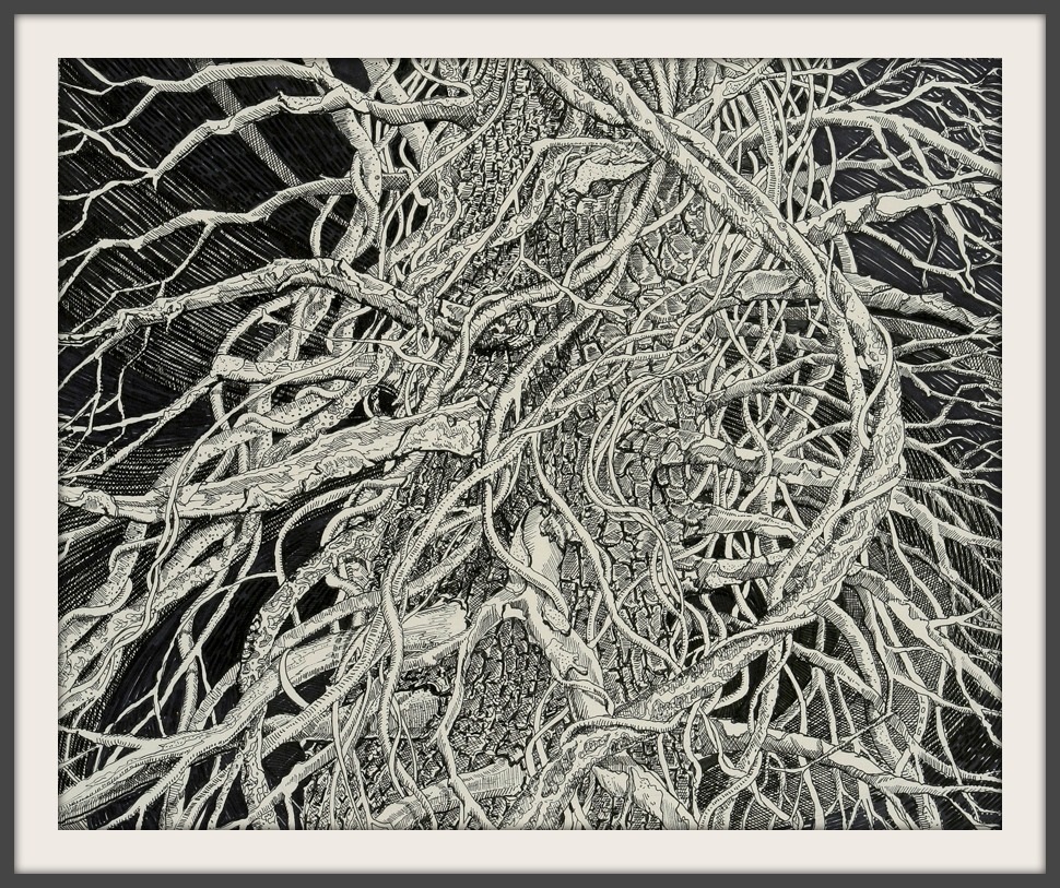 Remembering Dan Long | 06880