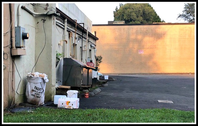 Backyard Dumping In Front Of Westfair Village | 06880