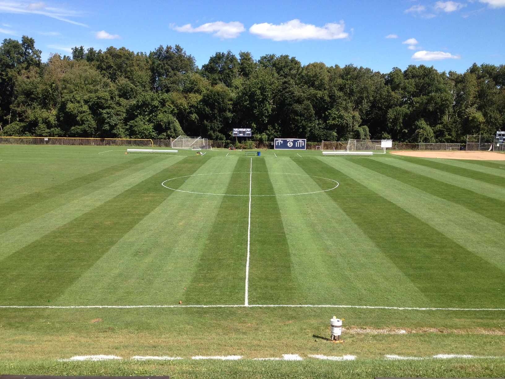 Remembering Joe Saviano | 06880