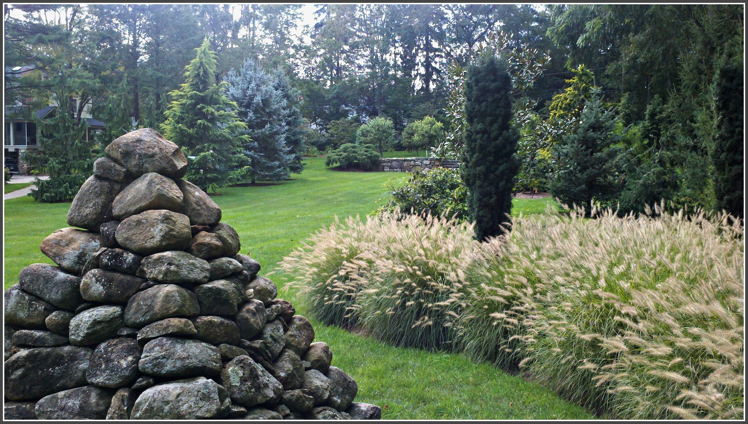 in Greens Farms, A Meadow Grows | 06880