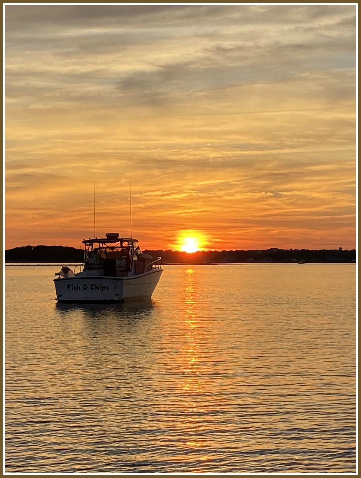 Pics Of The Day #1198 | 06880