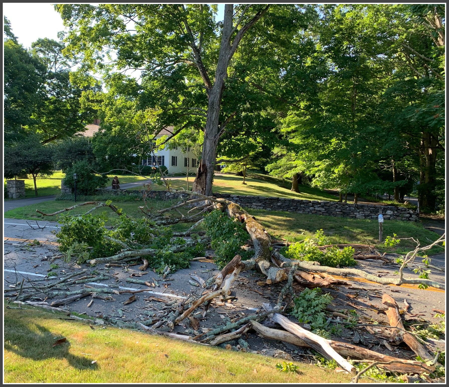 No Wind. No Storm. Big Problem. | 06880