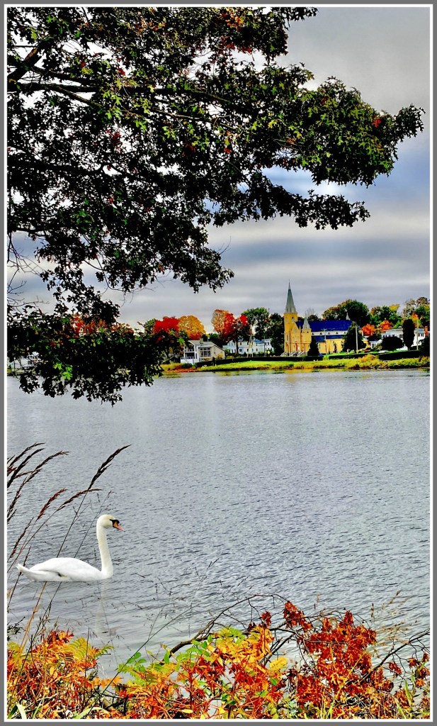 Pic Of The Day #1300 | 06880