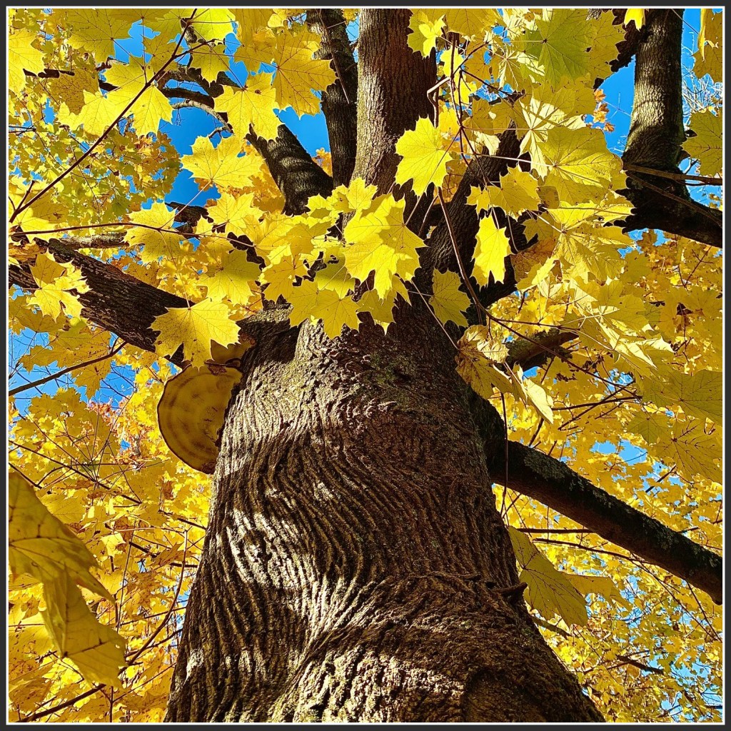 Pics Of The Day #1315 | 06880