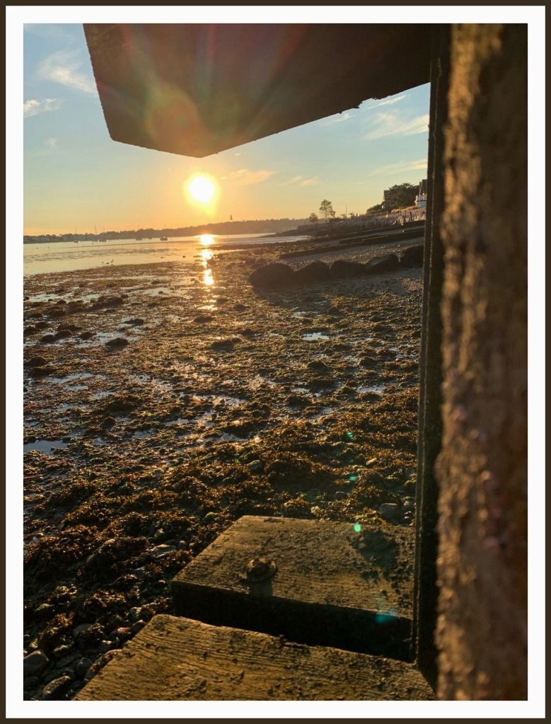 Pic Of The Day #1641 | 06880