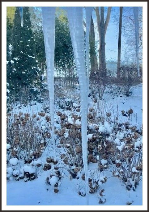 Sunday Snow Scenes | 06880