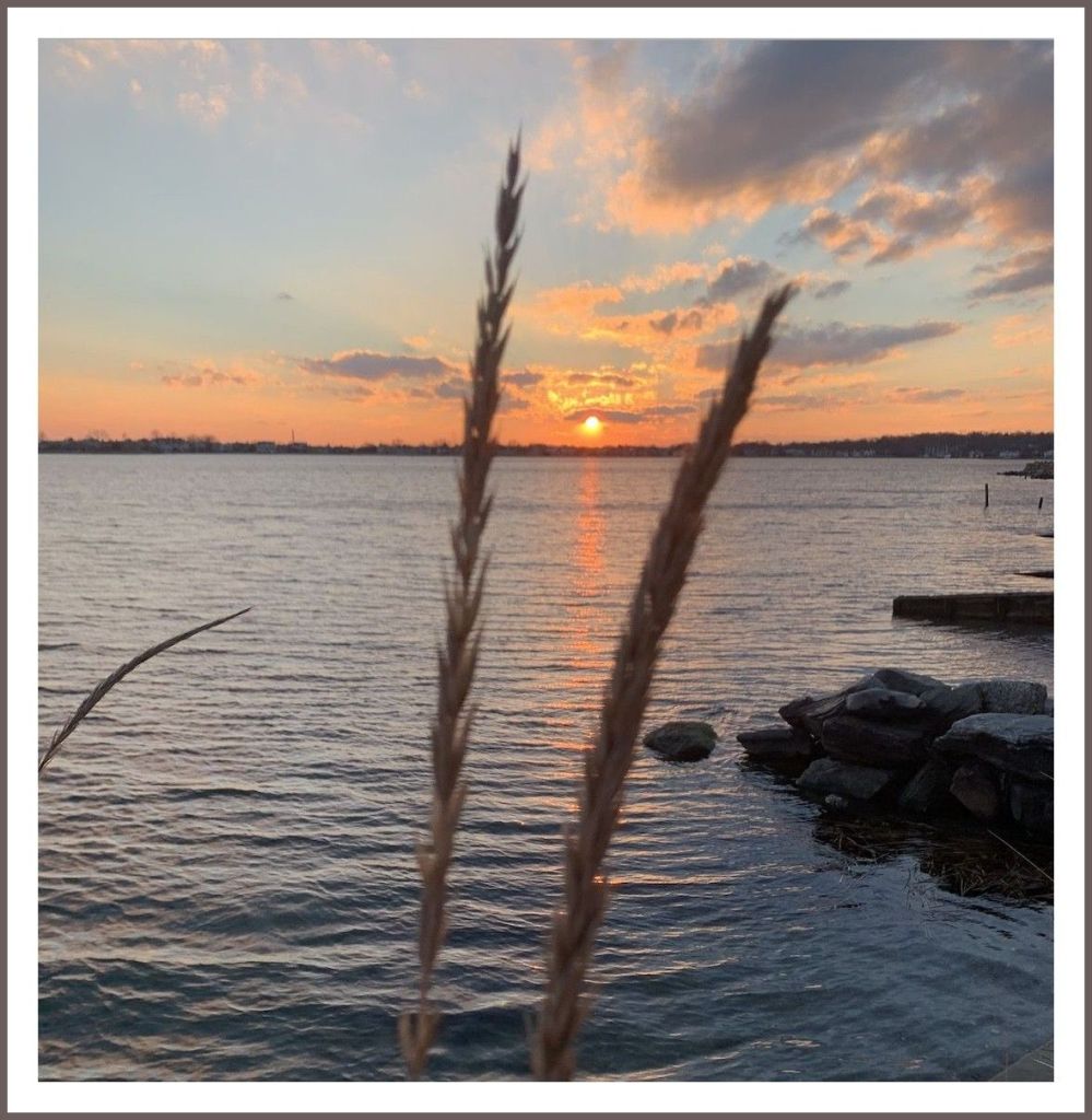 Honoring Annabelle | 06880