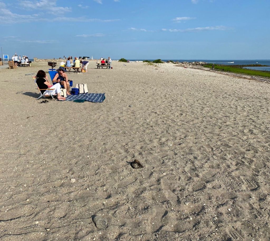 Roundup: Beach Tables, Primary Day, Baron’s South … | 06880