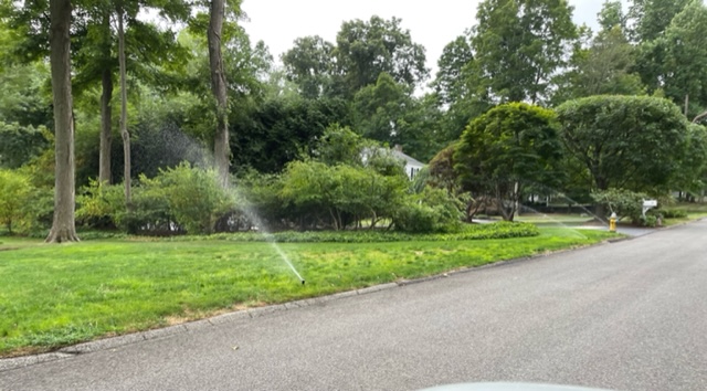 Roundup: Water, Weeds, Lichen … | 06880