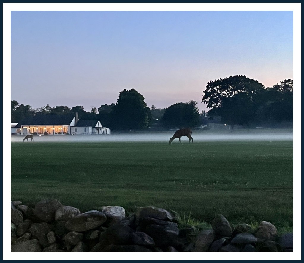 Pic Of The Day #1939 | 06880