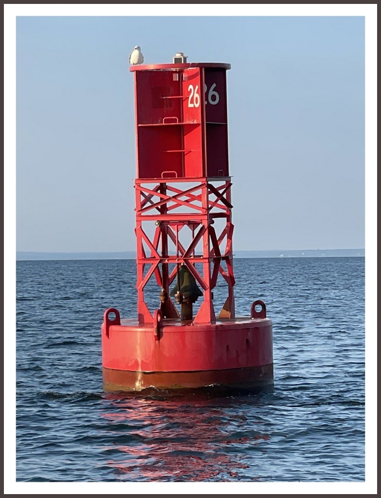 Pic Of The Day #1962 | 06880