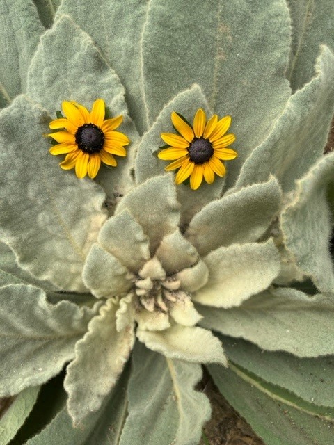 Online Art Gallery #128 | 06880