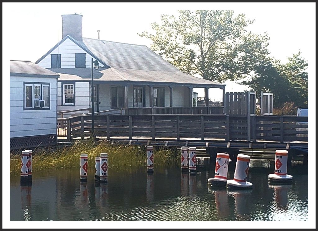 Pic Of The Day #1973 | 06880