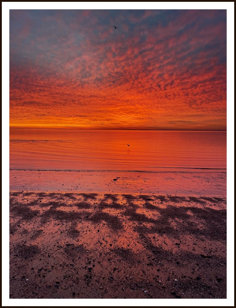 Pic Of The Day #2052 | 06880