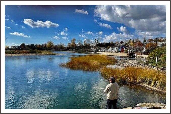 Pic Of The Day #2039 | 06880