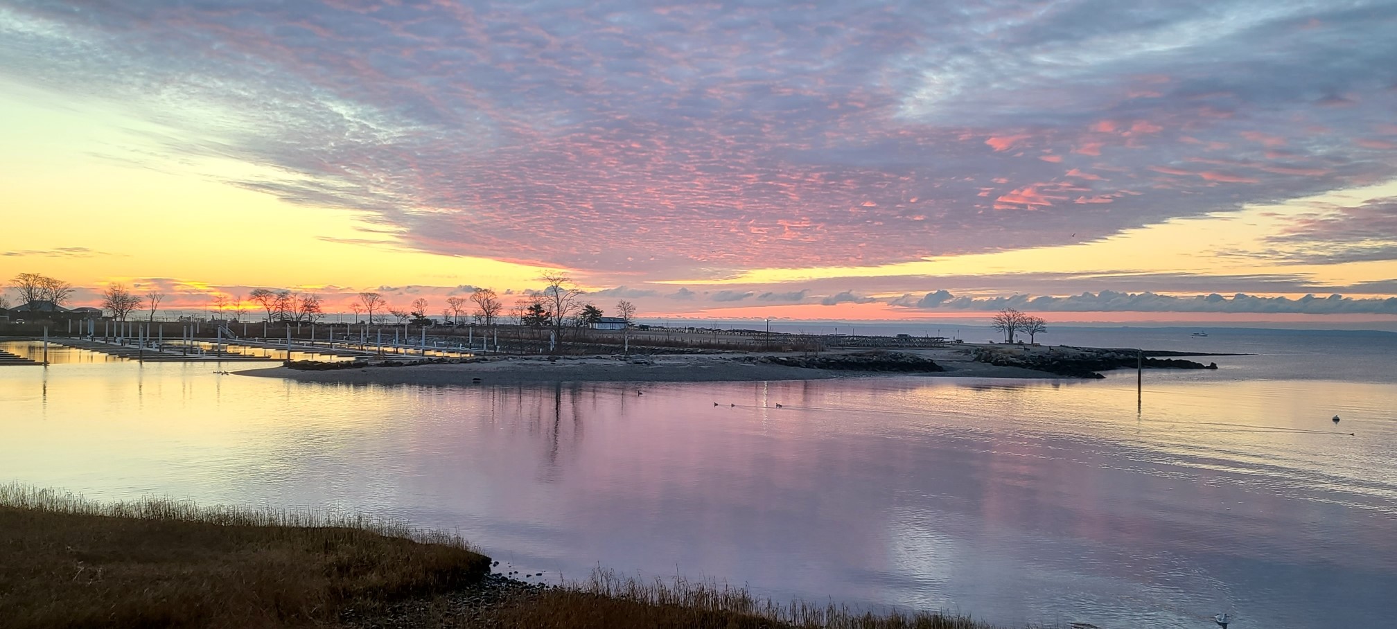 Header – Marina – Andrea Cross | 06880