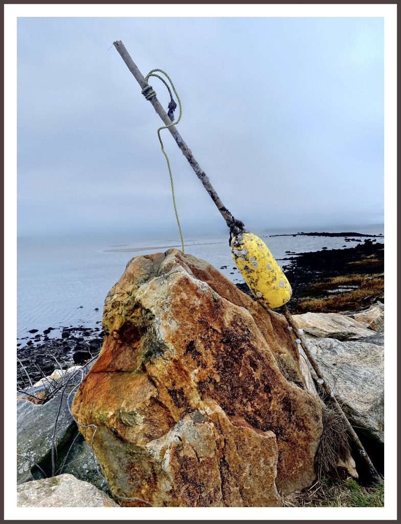 Pic Of The Day #2102 | 06880