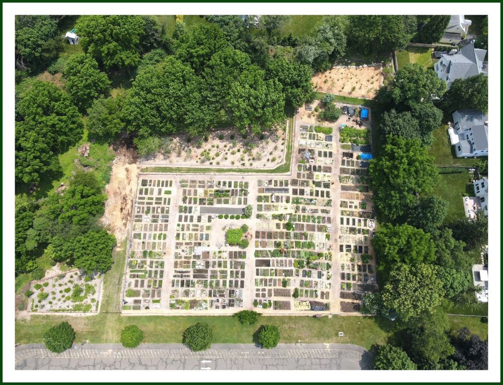 Long Lots Project May Supplant Community Gardens | 06880