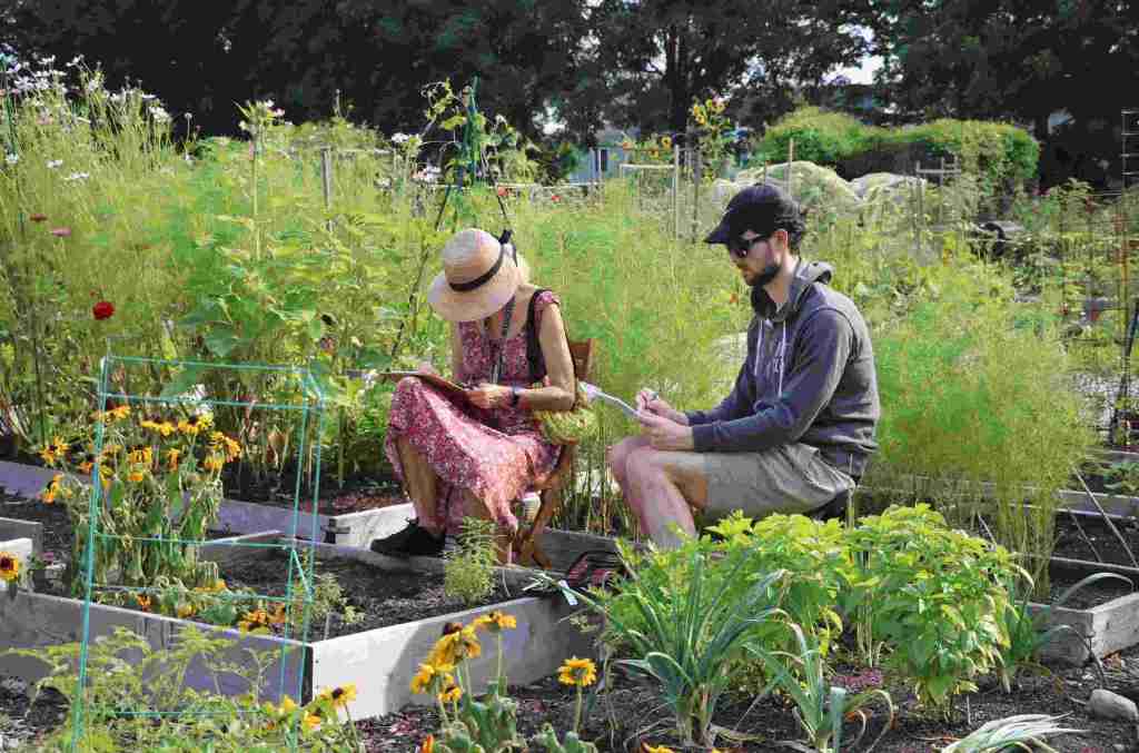 Art In The (Community) Garden | 06880