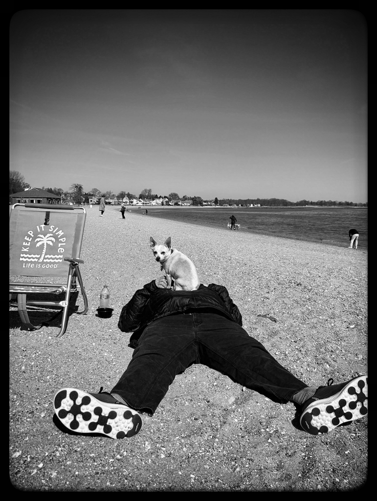 Pic Of The Day #2887 | 06880