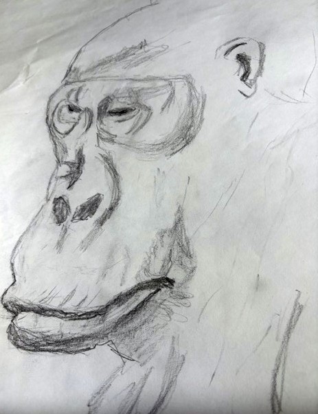 Online Art Gallery #302 | 06880