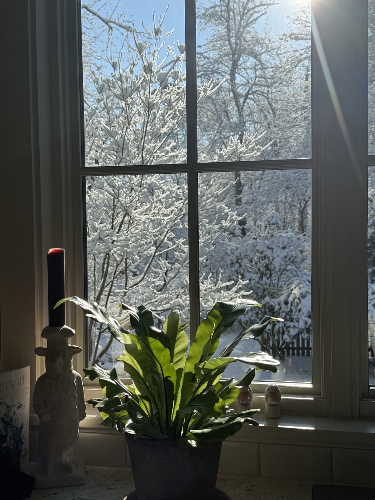 And Because We Can’t Get Enough Of These Gorgeous Winter Photos … | 06880